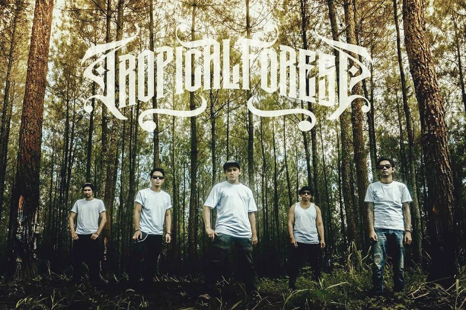 Tropical Forest – kultur(dot)media